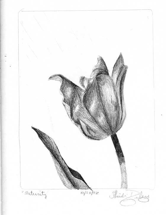 Drawings